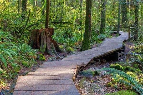 Sentinel Secondary School