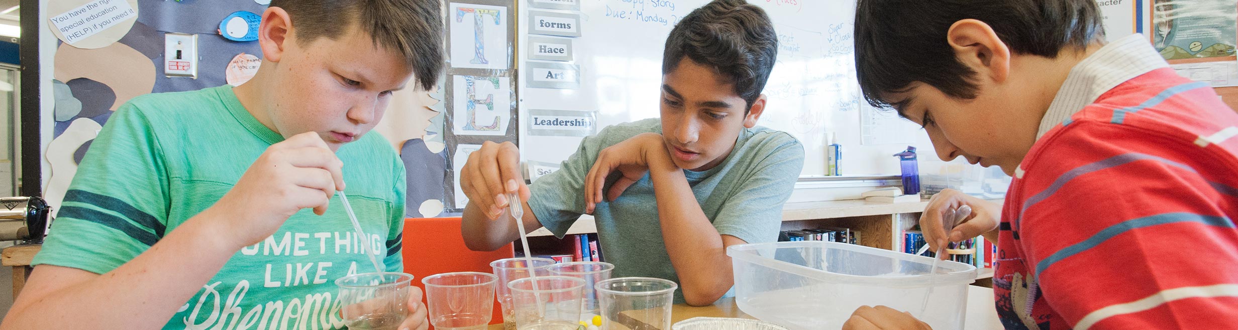 Chartwell Elementary School